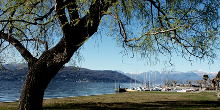 Il lago – Comune di Ispra