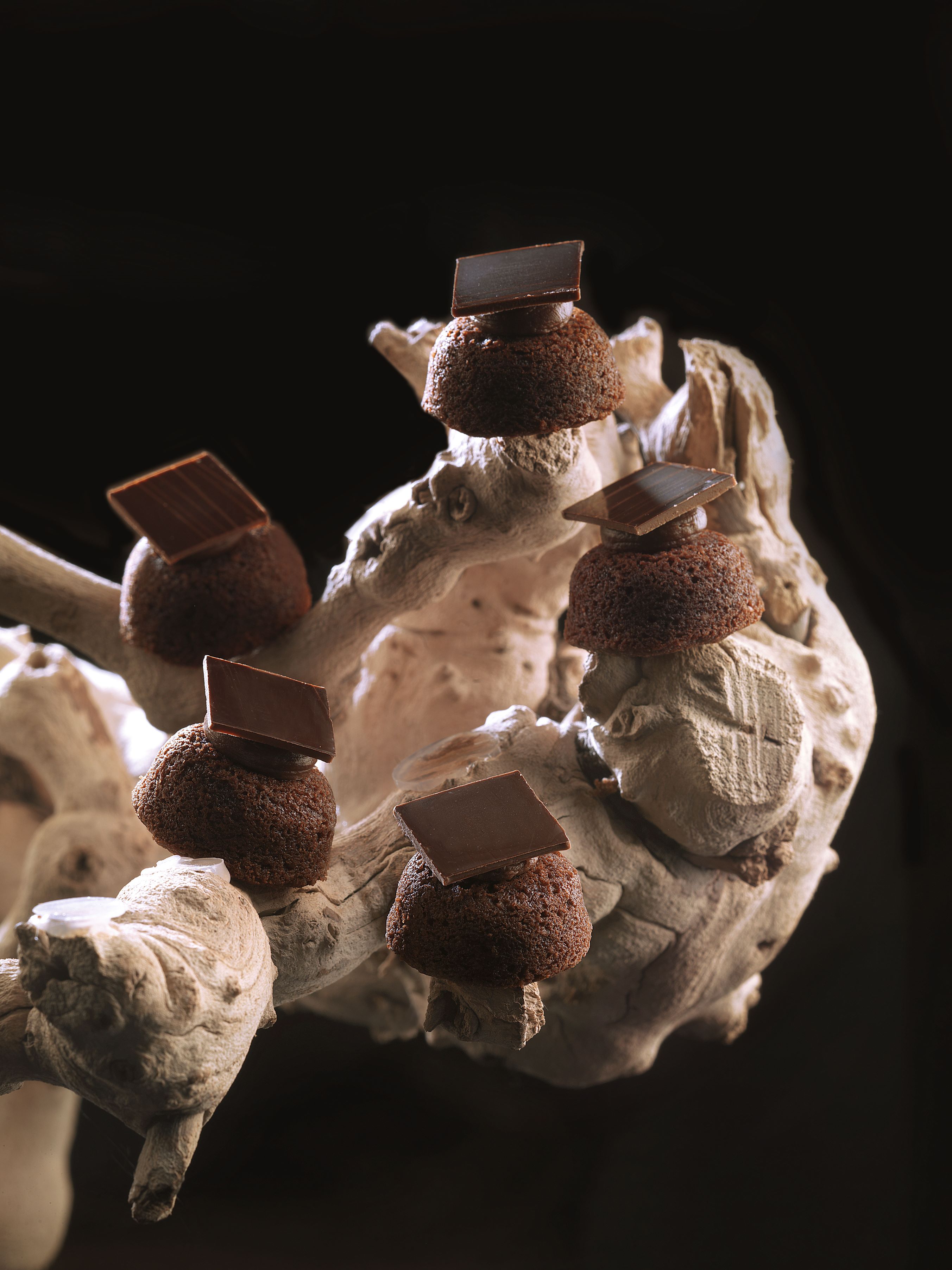 La capresina - Italian Gourmet