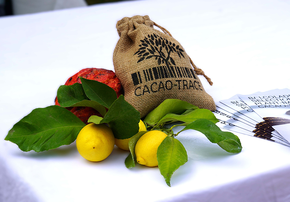 Il Sustainable cacao value di Cacao Tracep