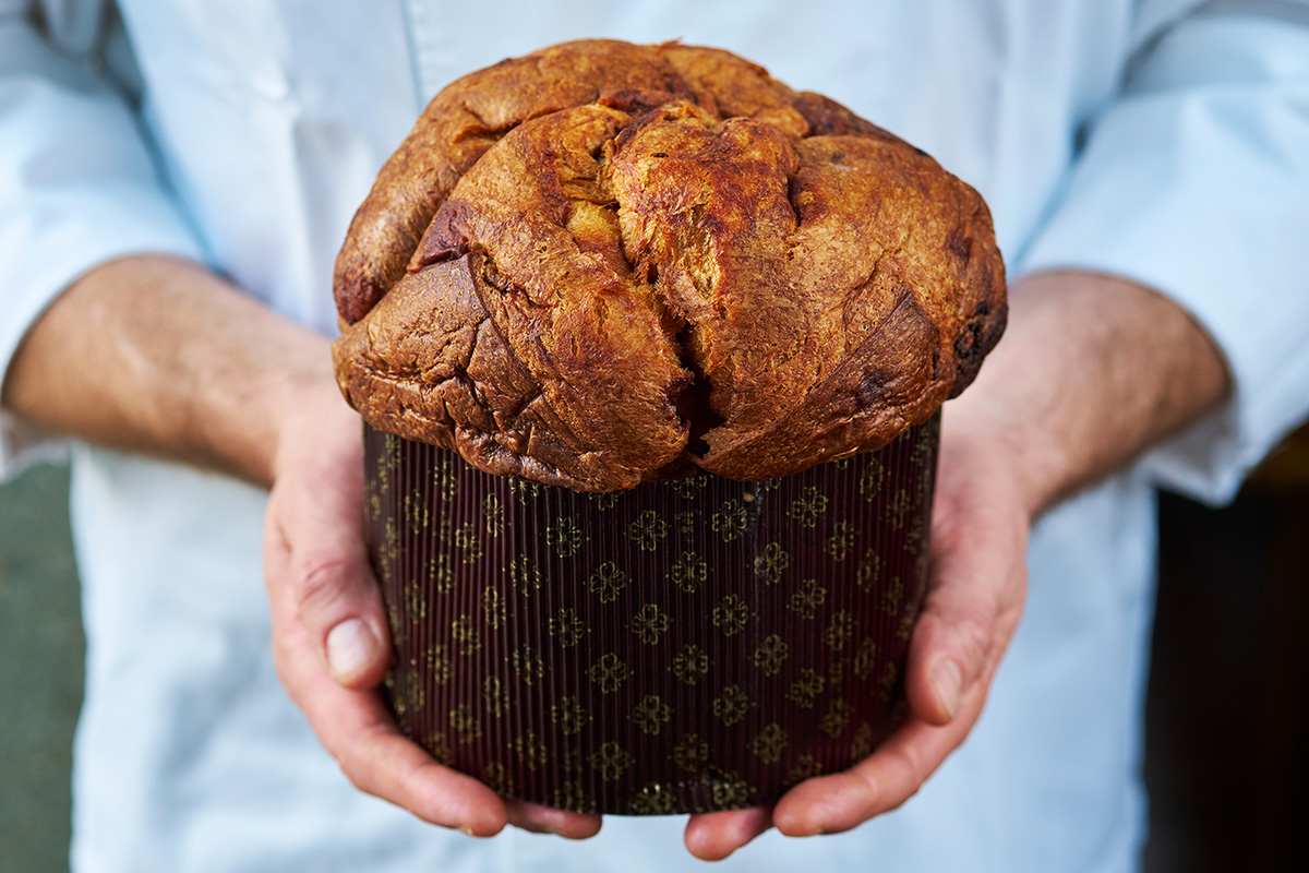 Panettone artigianale Natale 2024: i migliori panettoni degli chef